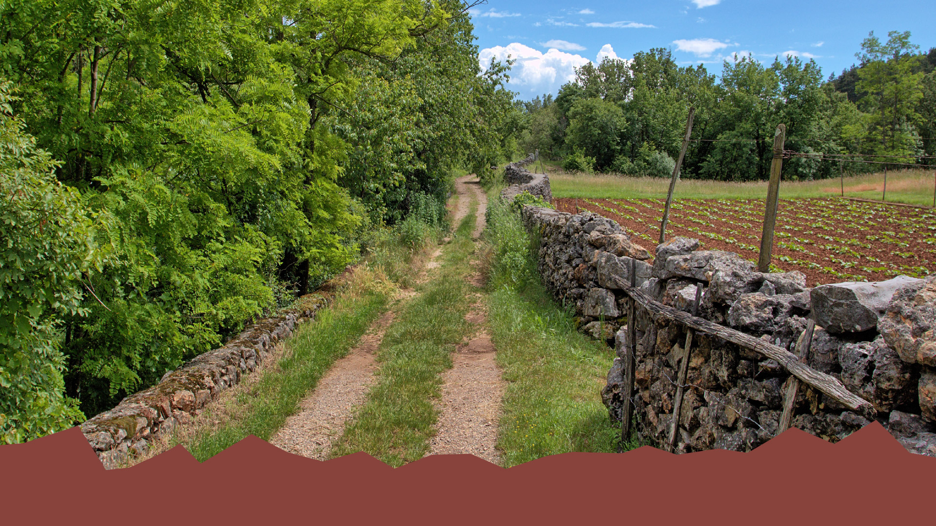 Home 2 - Sentieri in Provincia di Trieste